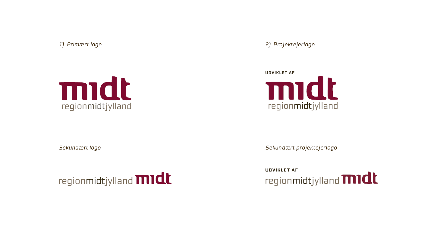 Projektejer - Region Midtjylland